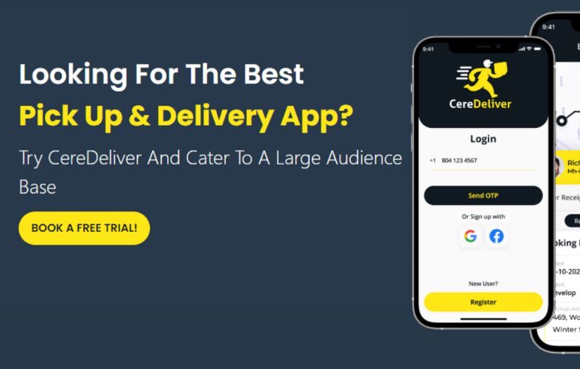 Cerebrum Infotech Reviews & Ratings | Goodfirms