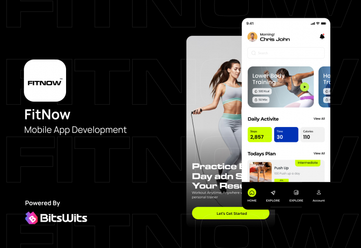 Bitswits Reviews & Company Profile | GoodFirms