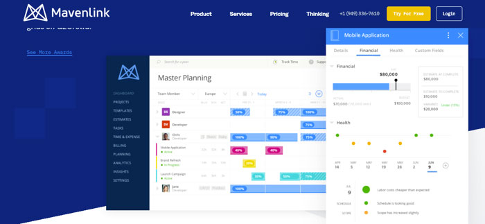 Alternatives to Microsoft Project