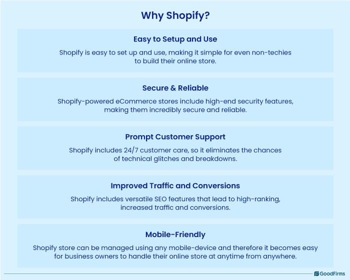 How Much Does a Shopify Website Cost: A Complete Pricing Guide for 2025