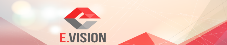 E-Vision Reviews & Profile | GoodFirms