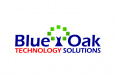 Blue Oak Tech Reviews & Company Profile | GoodFirms