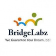 Bridgelabz Reviews & Company Profile | GoodFirms