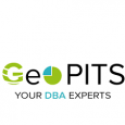 Geo Platinum IT Services (GeoPITS) Reviews