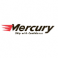 Mercury Business Services Reviews & Company Profile | GoodFirms