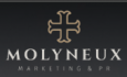 Molyneux Marketing Reviews & Company Profile | GoodFirms