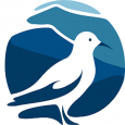 Seagull Software Development Reviews & Company Profile | GoodFirms
