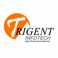 Trigent Infotech Pvt. Ltd. Reviews & Company Profile | GoodFirms