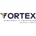 Vortex Reviews & Company Profile | GoodFirms