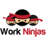 Work Ninjas Reviews 2025: Profile Details | GoodFirms