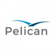Pelican AI Reviews & Pricing 2025