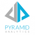 Pyramid Analytics Reviews & Pricing 2025 | GoodFirms