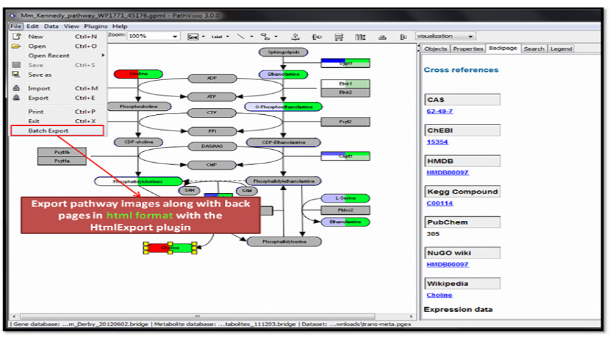 PathVisio Reviews & Pricing 2025 | GoodFirms