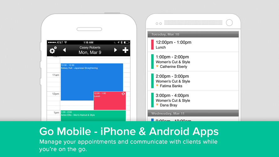 Schedulista Reviews & Pricing 2025