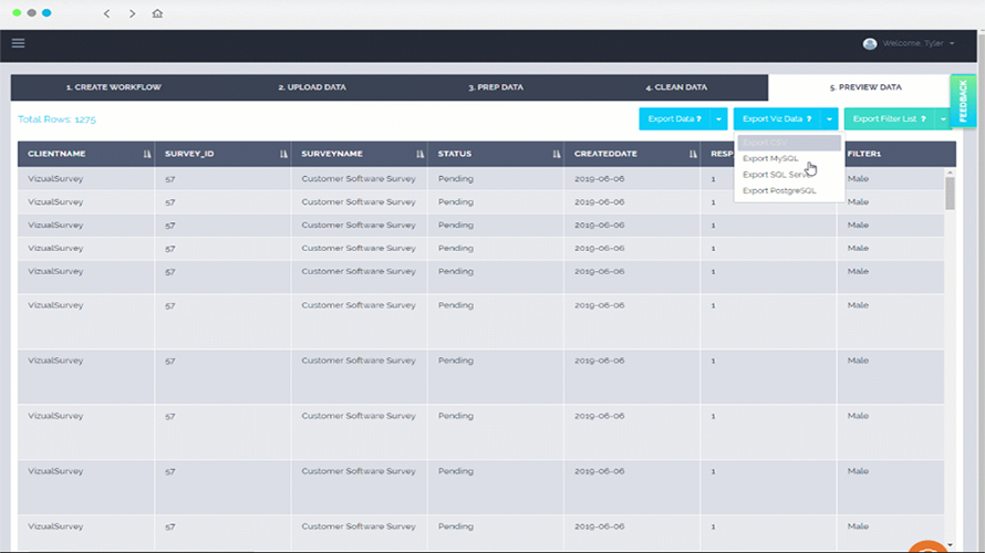 VizualSurvey Reviews & Pricing 2025 | GoodFirms