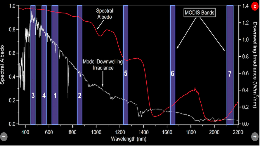 Igor Pro Reviews & Pricing 2025
