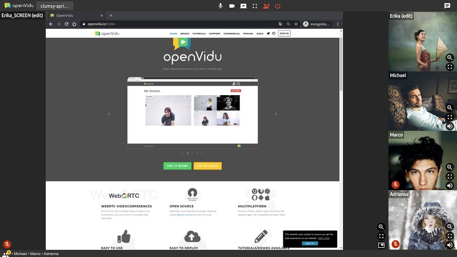 OpenVidu Reviews & Pricing 2025 | GoodFirms