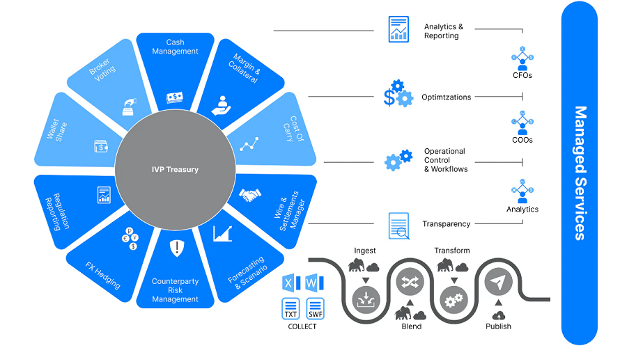 IVP Treasury Reviews & Pricing 2024