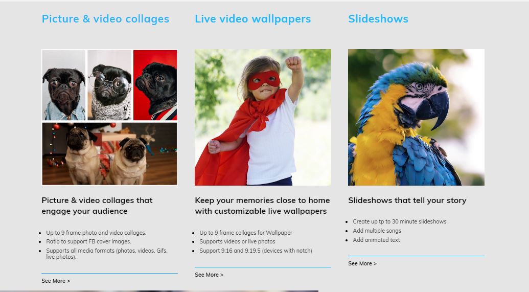 PicPlayPost Reviews & Pricing 2025