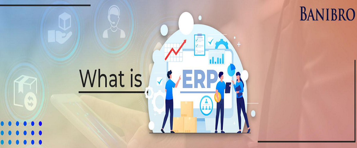 Banibro Reviews & Pricing 2025 | GoodFirms